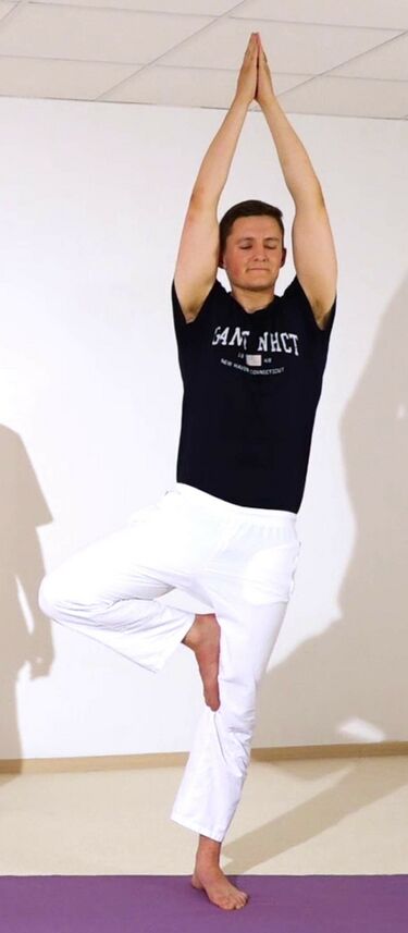 Yoga Baum – Yogawiki