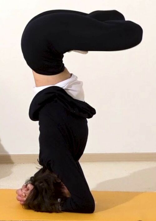 Lotus-Kopfstand – Yogawiki
