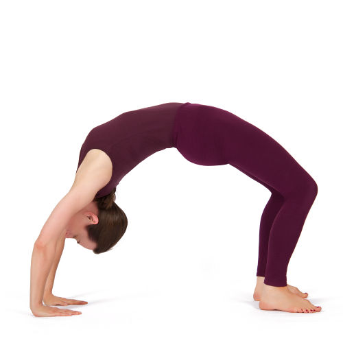 Chakrasana – Yogawiki
