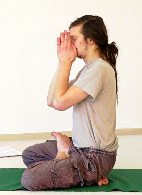 Phana Guptasana – Yogawiki