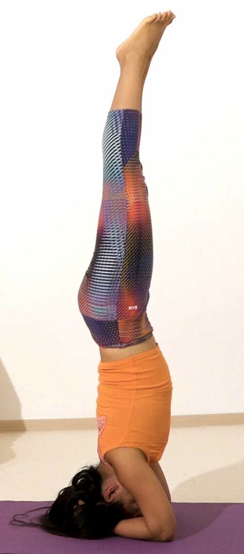 Kopfstand mit kleiner Vajroli Mudra – Yogawiki