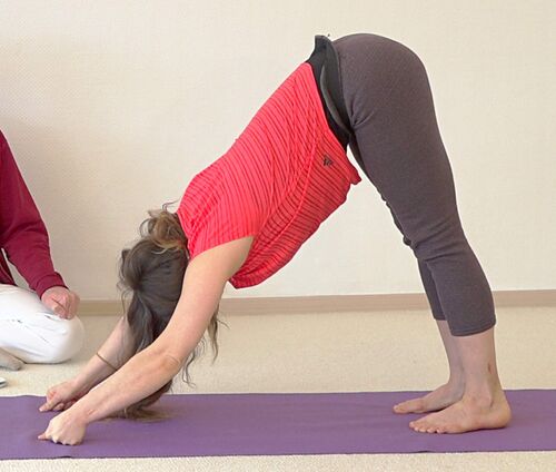 Mushtikasana – Yogawiki