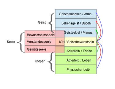 Anthroposophie – Yogawiki