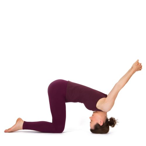 Shashankasana – Yogawiki